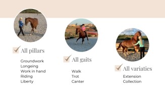 Half pass | Straightness Training