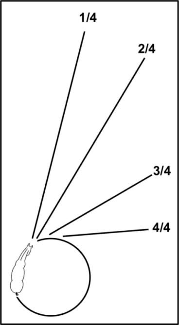 Half pass | Straightness Training