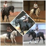 12 Tips for Objective Observation - Straightness Training