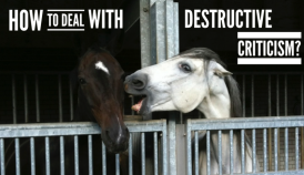 12 Tips on How to Deal with Destructive Criticism - Straightness Training