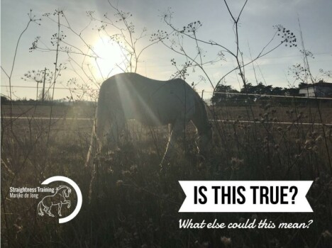 The Map Is Not The Territory - Straightness Training