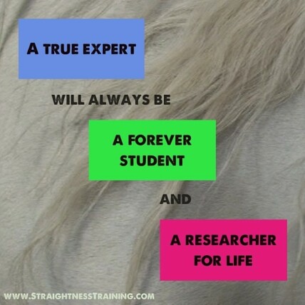 The Three Effective Roles of An Expert | Straightness Training