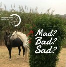 Feeling Bad, Mad or Sad? 7 Strategies To Shake It Off - Straightness ...