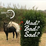 Feeling Bad, Mad or Sad? 7 Strategies To Shake It Off - Straightness ...