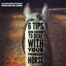 6 Tips on How To Deal With Problems | Straightness Training