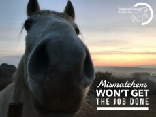 Are you a Matcher or a Mismatcher? - Straightness Training