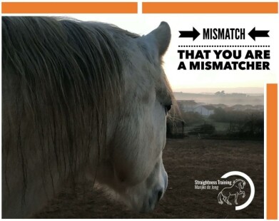 Are you a Matcher or a Mismatcher? - Straightness Training