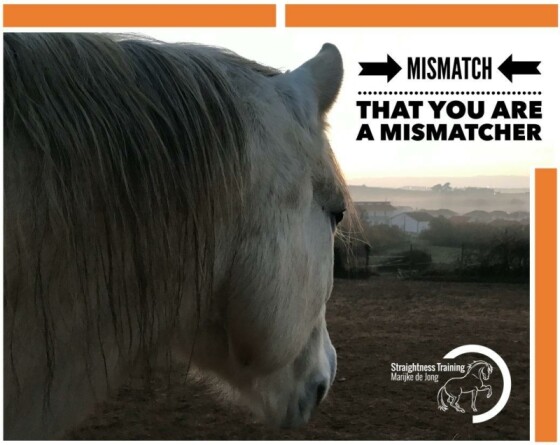 Are you a Matcher or a Mismatcher? - Straightness Training