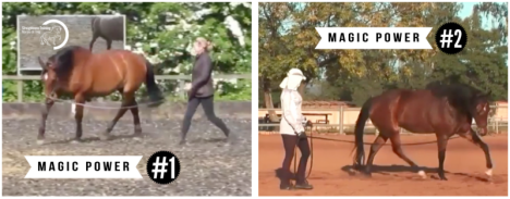 Are you a Matcher or a Mismatcher? - Straightness Training