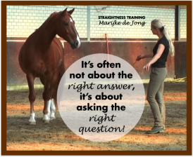 Ask The Right Questions - Straightness Training