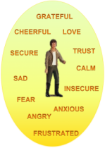 The influence of rules - Information & Tips | Straightness Training