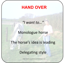 Leadership styles | Straightness Training