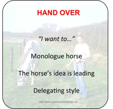 Leadership styles | Straightness Training