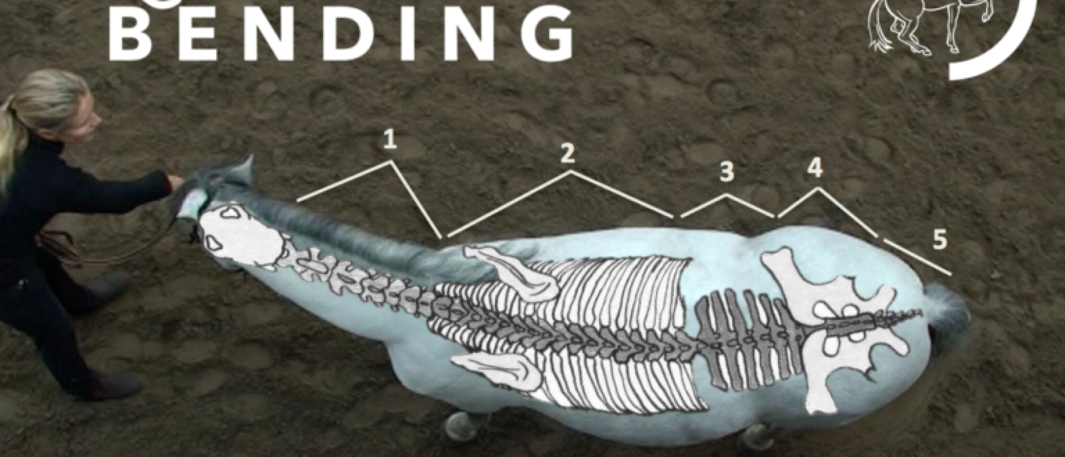 Lateral bending in spine and body
