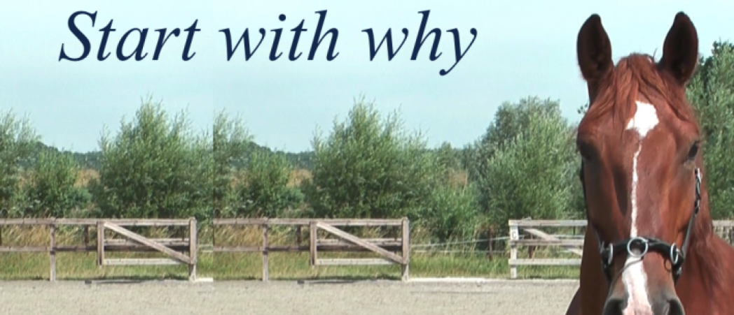 Start with WHY | Straightness Training | Marijke de Jong