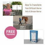 Straightness Training | Valuable Tips About Horses & Horse Riding