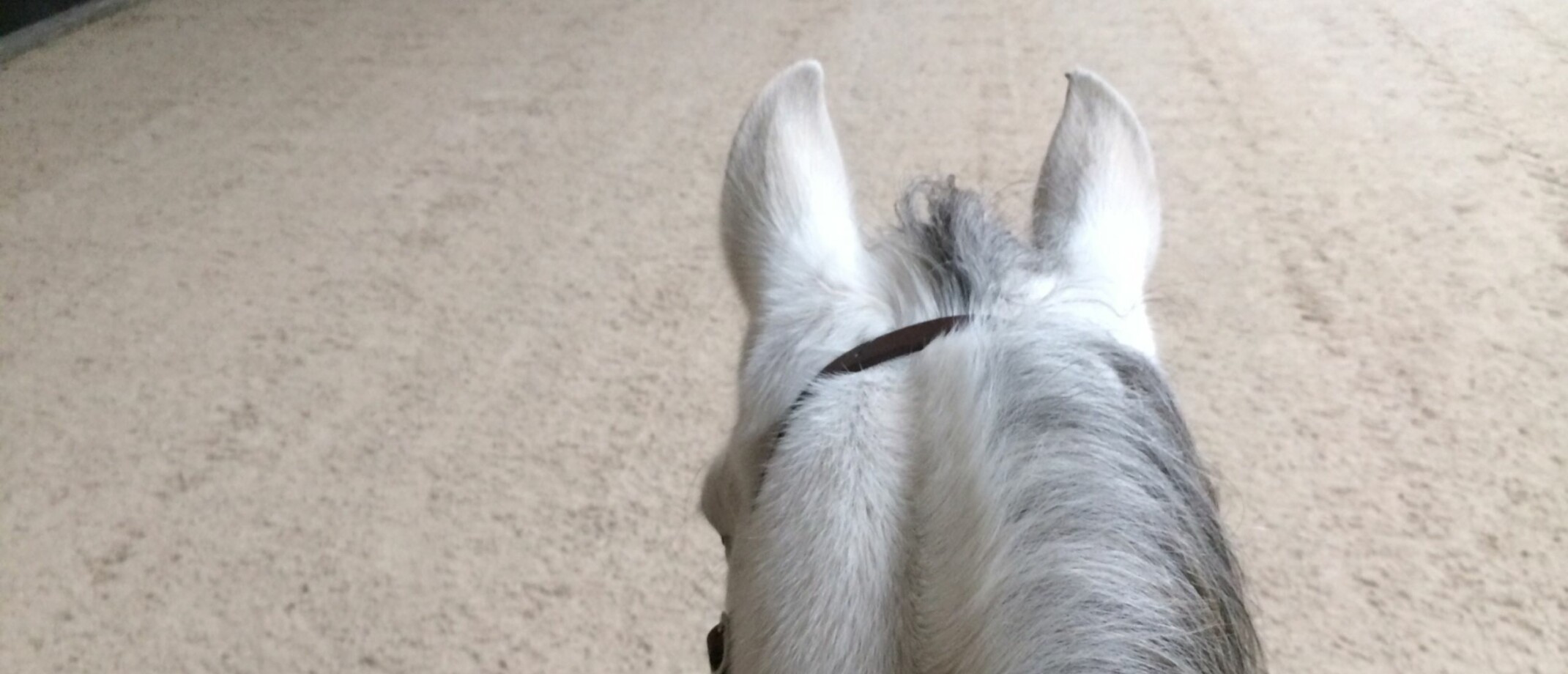 Training Pillars Of Straightness Training - Straightness Training