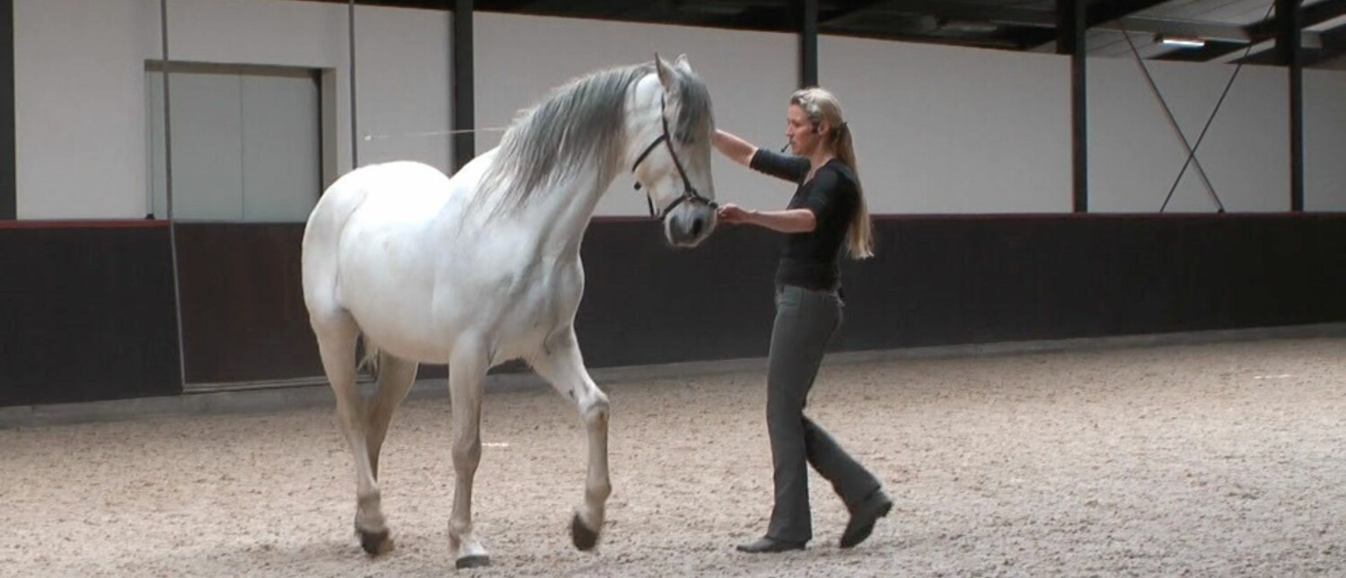 Lateral movements | Straightness Training