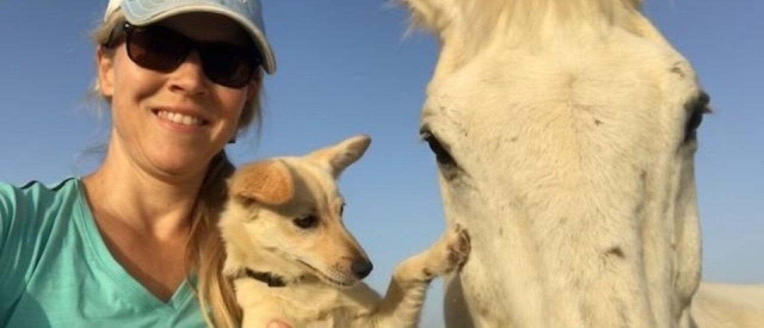 Overview ST Exercises