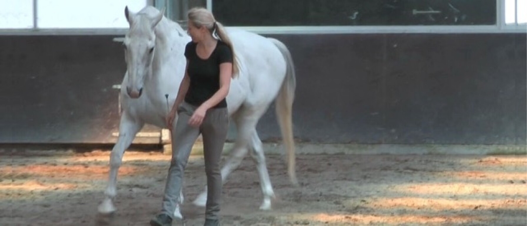 Areas of Straightness Training | Straightness Training