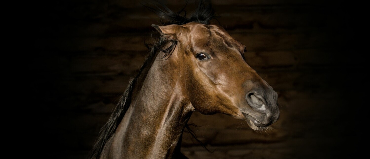 Feeling Bad, Mad or Sad? 7 Strategies To Shake It Off - Straightness ...