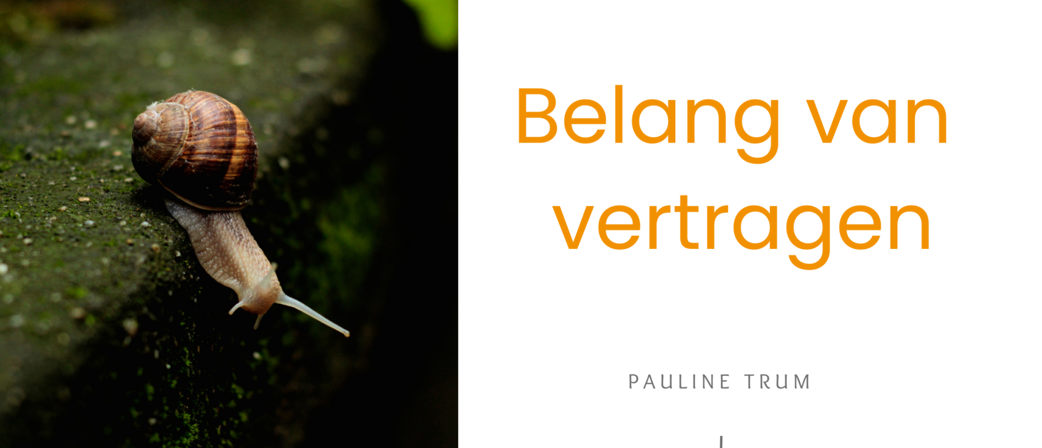 Blog het belang van vertragen