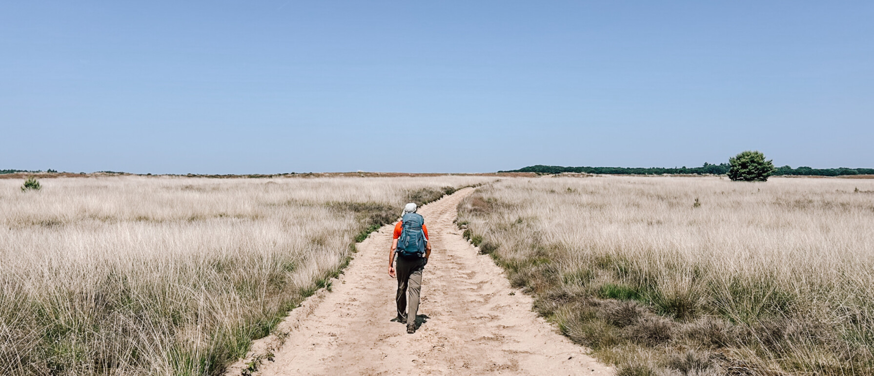 Trekkershuttentocht Veluwe: 3 dagen wandelen