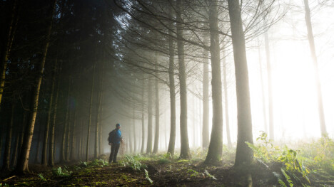 6 avontuurlijke reizen in de wildernis