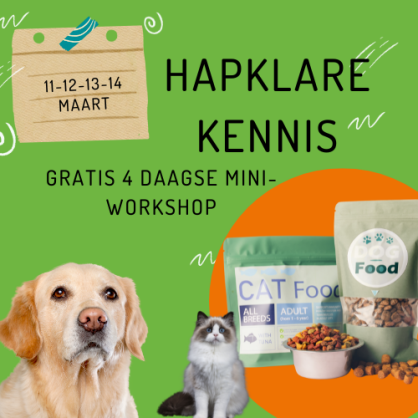 Brokken-hondenbrokken-kattenbrokken-gratis 4-daagse-miniworshop