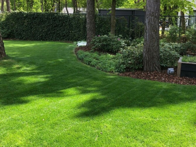 Krijg en behoud een compact en diepgroen gazon | MijnGazonCoach