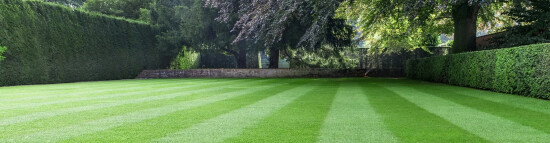 Realiseer makkelijk en snel het gazon van je dromen | MijnGazonCoach