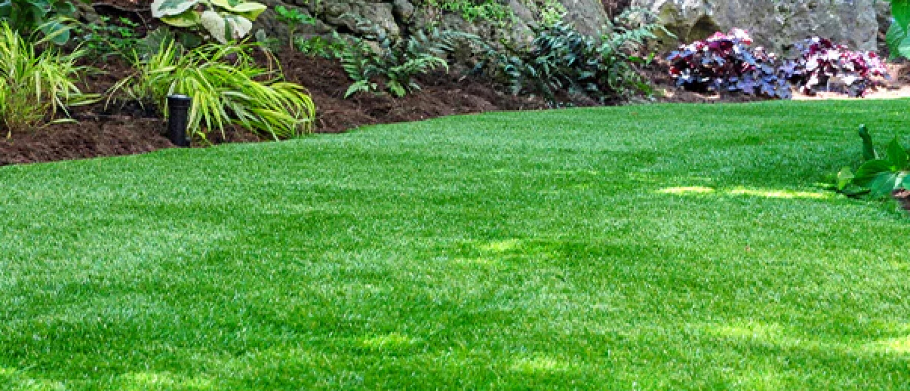 Ik help je zonder gedoe aan een prachtig gazon | MijnGazonCoach