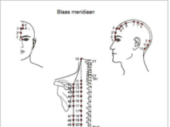 Blaas meridiaan klachten? Ontdek holistische therapie