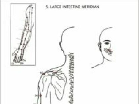 Dikke darm meridiaan klachten? Ontdek holistische therapie