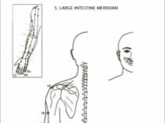 Dikke darm meridiaan klachten? Ontdek holistische therapie