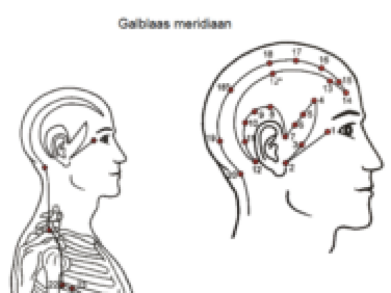 Galblaasmeridiaan – klachten, emoties, energie, versterken, herstel