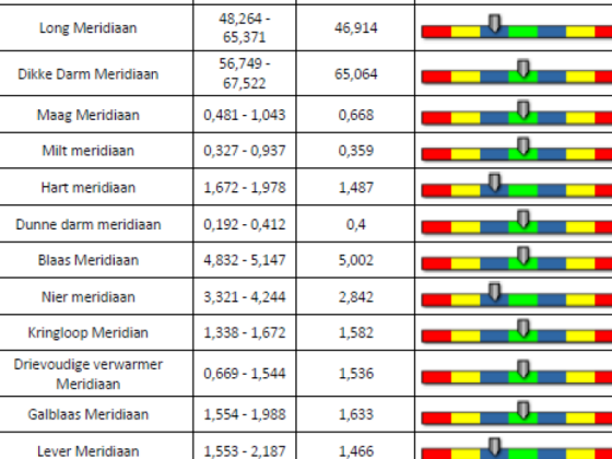Blaas meridiaan test |Holistisch Orthomoleculair Energetisch Therapeut