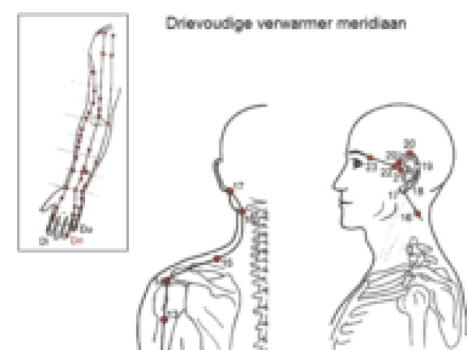 Drievoudige verwarmer meridiaan test |Holistisch energetisch Therapeut