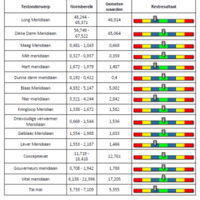 Dikke darm meridiaan |Holistisch orthomoleculair energetisch therapeut