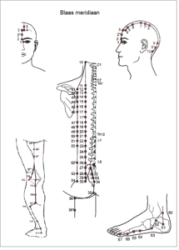 Blaas meridiaan test |Holistisch orthomoleculair energetisch therapeut