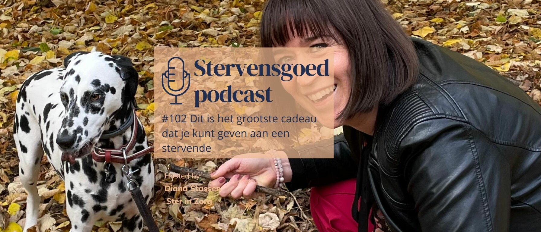 Hoe verloopt het stervensproces?