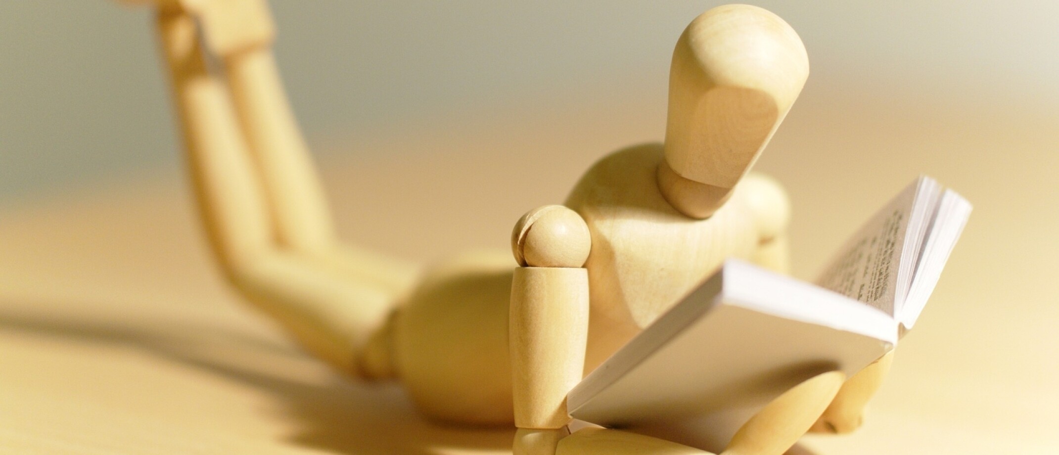 Apprendre le flamand