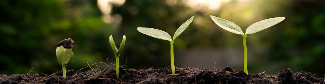 Duurzame Producten voor een Groenere Levensstijl
