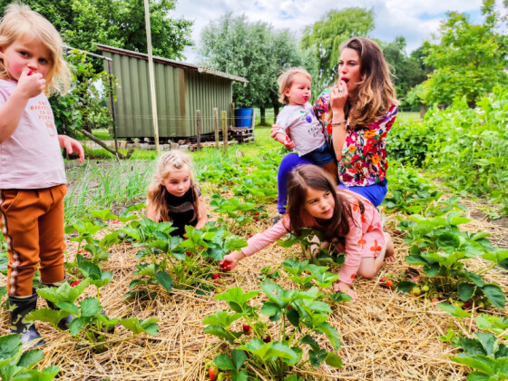 Moestuinieren met kinderen