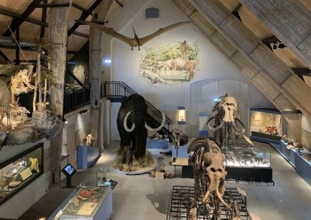 De 10 leukste uitjes in Hellevoetsluis!