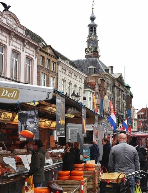 Wat te doen in Den Bosch?