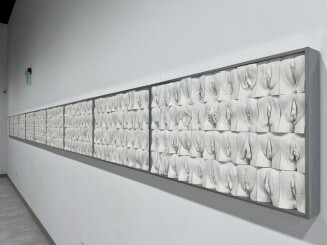 The Great Wall Of Vulva Jamie Mccartney