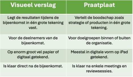 Wat is het verschil tussen een visueel verslag en een praatplaat?