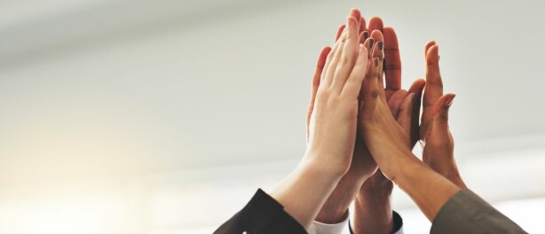 Het belang van successen vieren