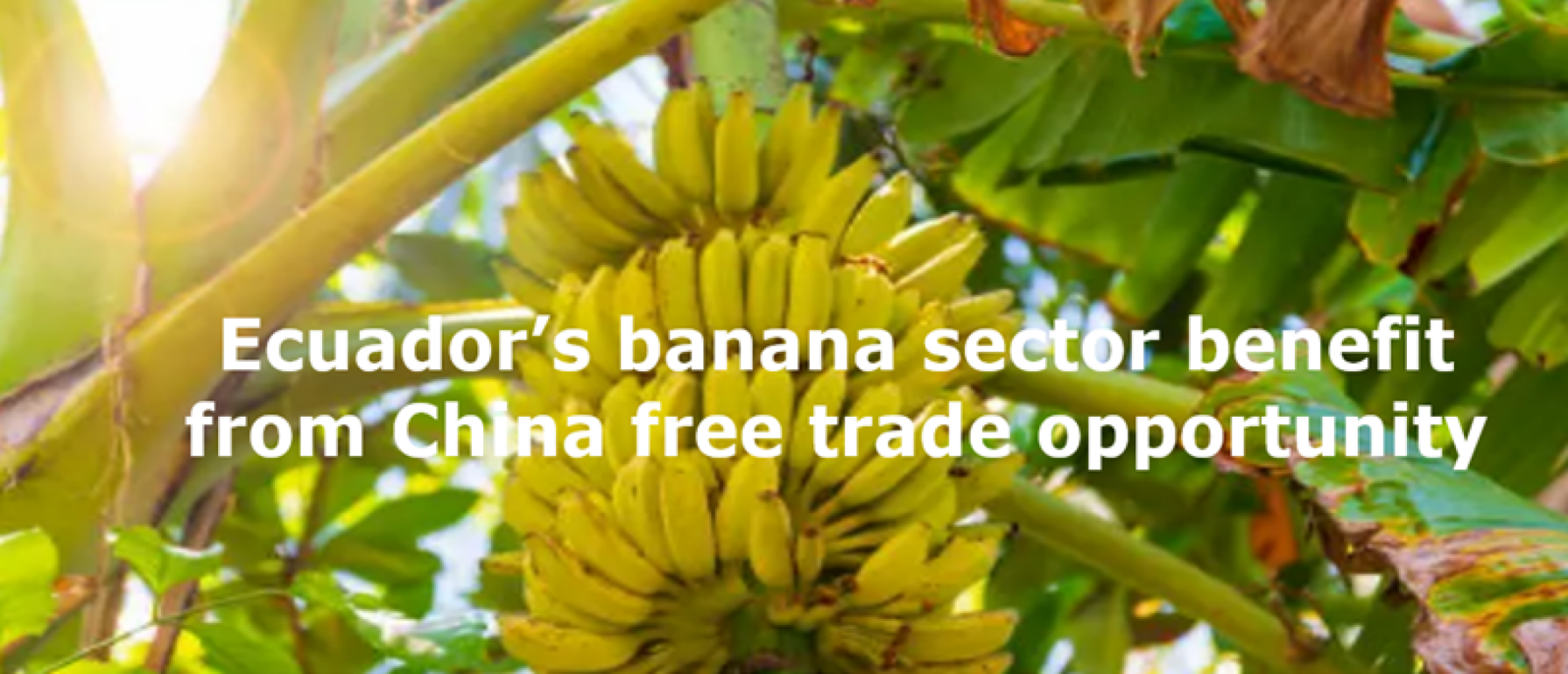 2025 China import-export tariffs explained